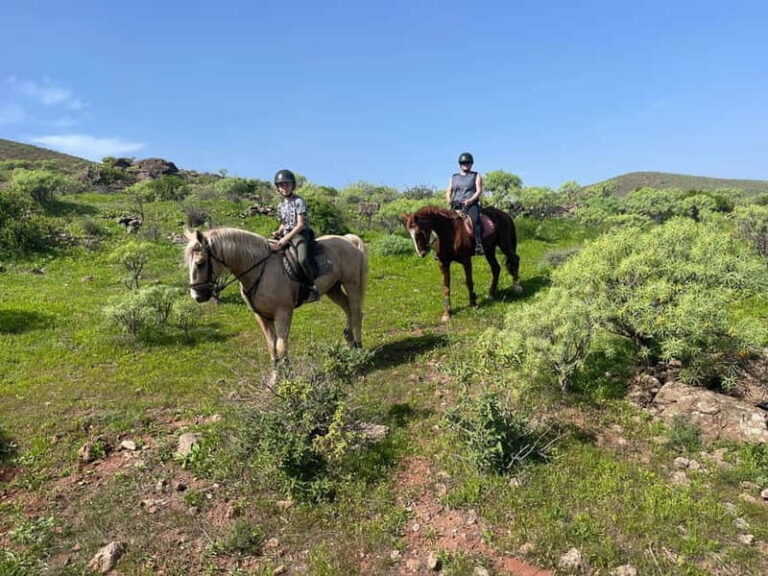 2 hours Green Mountains Horse Riding Tour - A Detailed Look at the Itinerary