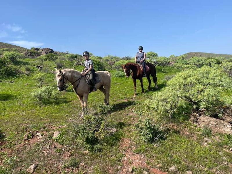 2 hours Green Mountains Horse Riding Tour - A Detailed Look at the Itinerary