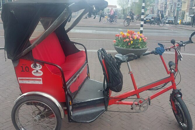 2 Hours Private Amsterdam Rickshaw Tour - The Sum Up