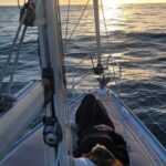 2 hours Private sunset experience by sailboat in Cascais - Who Will Love This Tour?
