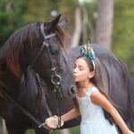 2 Hours Shared Horse Riding in Kemer Antalya All Level Riders - The Horse and Equipment: A Comfortable Ride for All
