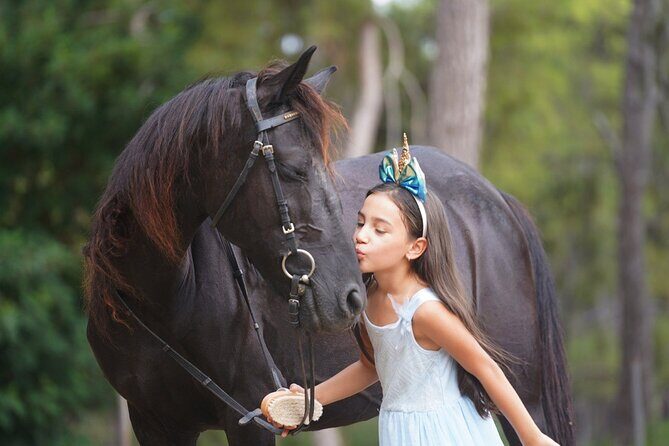 2 Hours Shared Horse Riding in Kemer Antalya All Level Riders - The Horse and Equipment: A Comfortable Ride for All