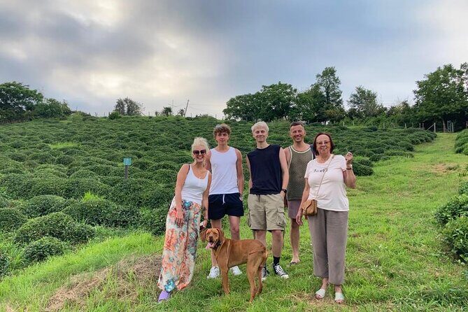 2 Hours Tea House and Tea Garden Trip in Ozurgeti Georgia - The Sum Up: Is It Worth It?