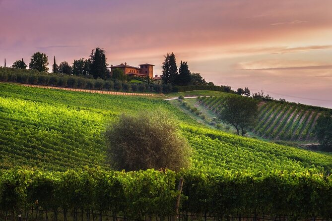 2 Hours Visit and Wine Tasting with tastings in Val D'Orcia - Key Points