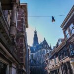 2 Hours Walking Tour Throughout History & Highlights of Haarlem - What to Expect and Why It Matters