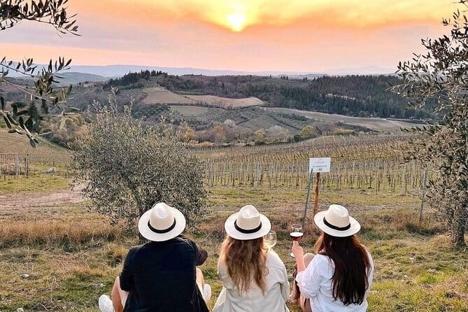 2 wineries Chianti Wine Tasting & Vineyards Walk Private Tour - Experience Chianti on a Private Wine Tasting & Vineyards Walk Tour