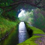 "25 Fountains" Walk / Lost In The Beautiful Forest - What the Reviews Say: Authentic Perspectives