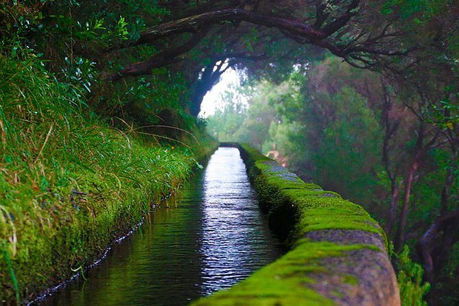 "25 Fountains" Walk / Lost In The Beautiful Forest - What the Reviews Say: Authentic Perspectives