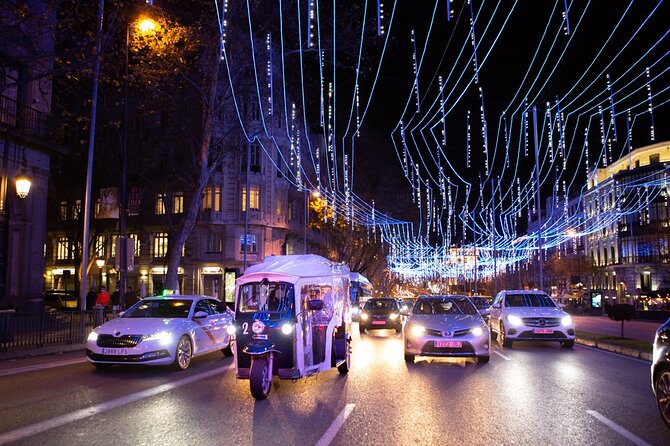 Christmas Lights Tour in Madrid in Private Eco Tuk Tuk - Final Thoughts
