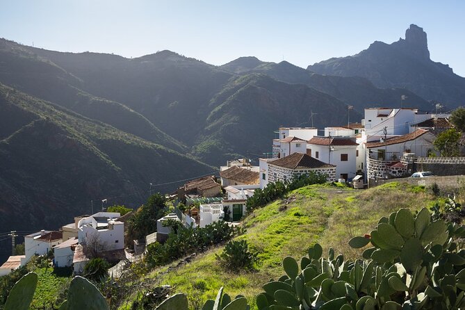 Firgas, Tejeda, Guayadeque - VIP Tour Gran Canaria - Frequently Asked Questions