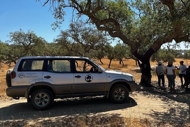 2hr Cork Tour in a Jeep - Key Points