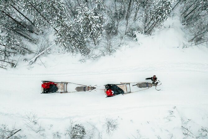 2km Sleigh Ride & Feeding Experience at Traditional Reindeer Farm - Who Is This Tour Best For?