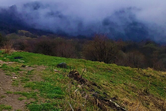 3 Days/2 Nights Vashlovani National Park Tour Package in Georgia - Introduction