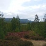 3 Days Excursion in Terceira island - Azores - The Practicalities: What’s Included and What to Expect