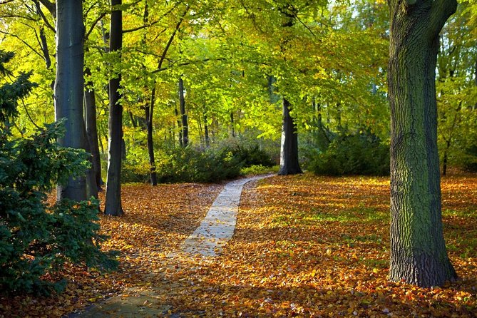 3-Hour Bike Tour of Tiergarten and Berlin's Hidden Places - Introducing the 3-Hour Bike Tour of Tiergarten and Berlins Hidden Places