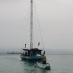 3 Hour Boat Tour in Messina - The Experience: What You Should Know