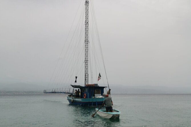 3 Hour Boat Tour in Messina - The Experience: What You Should Know