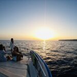3-hour boat trip at sunset with the sighting Delfini - The Dolphin Search: What to Expect
