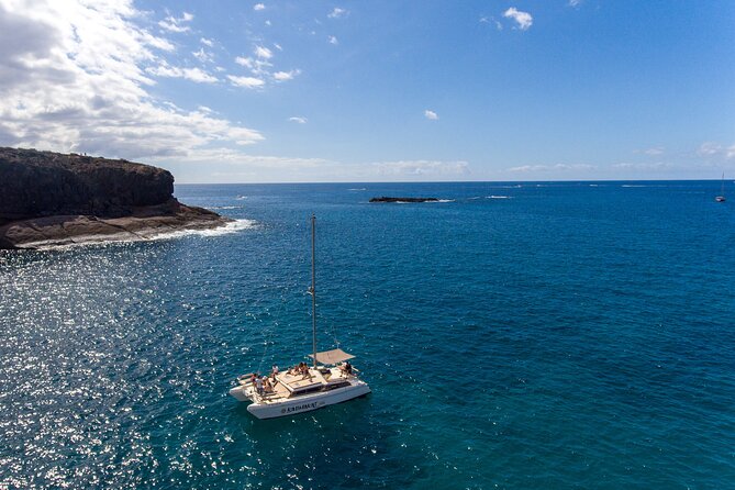 3-hour catamaran excursion along the Costa Adeje - The Itinerary in Depth