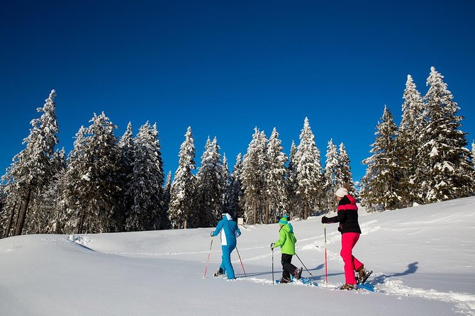 3-Hour Guided Snowshoeing Adventure in the Slovenian Alps - An In-Depth Look at the Snowshoeing Experience
