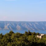 3-Hour Lavender Tour from Hvar - How Does This Tour Measure Up?