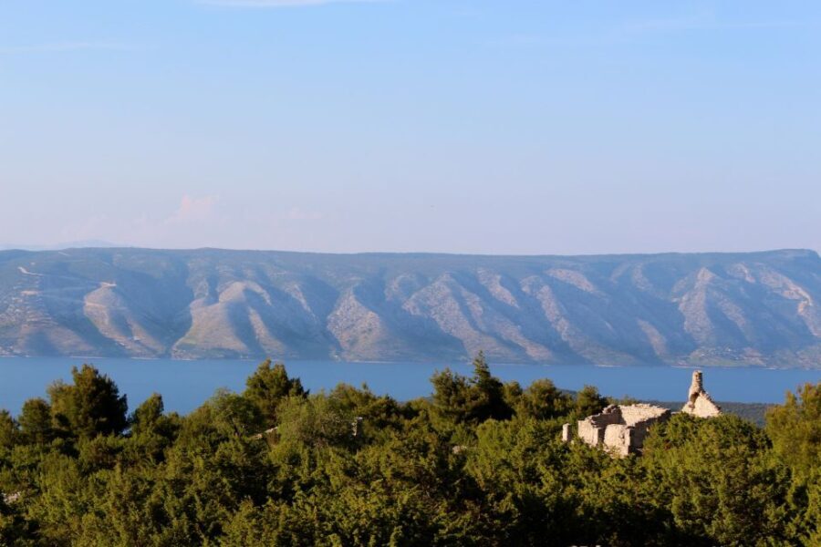 3-Hour Lavender Tour from Hvar - How Does This Tour Measure Up?