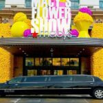 3 Hour NYC Private Limousine Tour - What It Feels Like to Be a Passenger