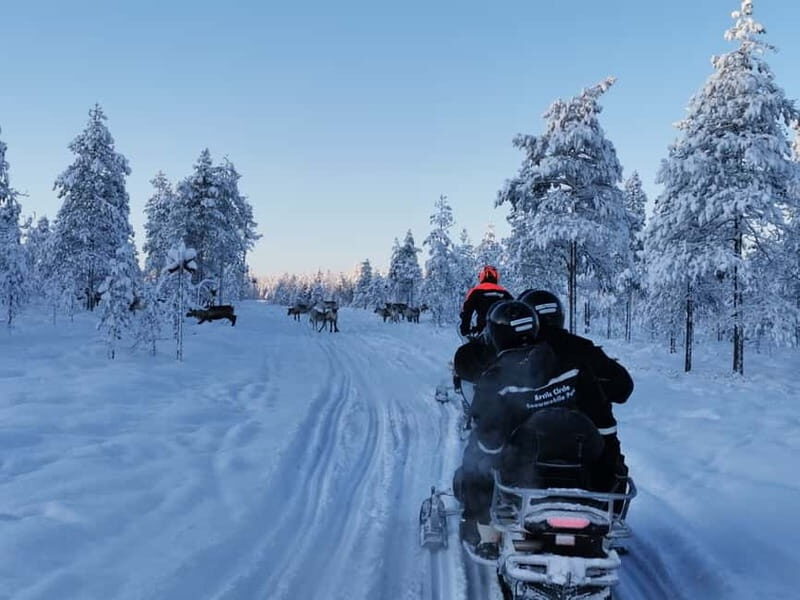 3-hour snowmobiling adventure in Levi - Who Should Consider This Tour?