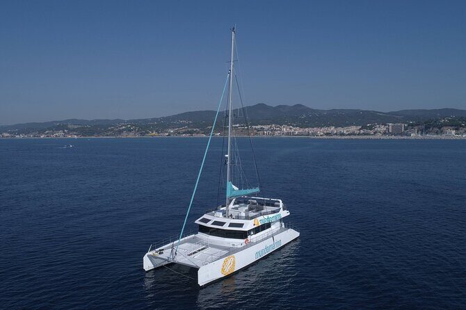 3-Hours Catamaran Tour in Malaga with Paella - What Real Travelers Say