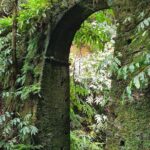3 Hours Guided Forest Bathing Hike in Portugal - Who Should Consider This Tour?