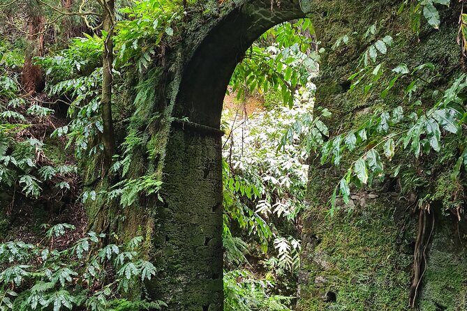 3 Hours Guided Forest Bathing Hike in Portugal - Who Should Consider This Tour?