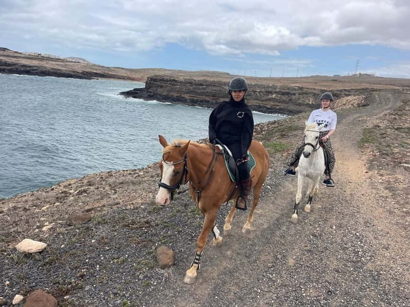 3 hours Horse Riding Tour to the Coast - The Value of This Experience