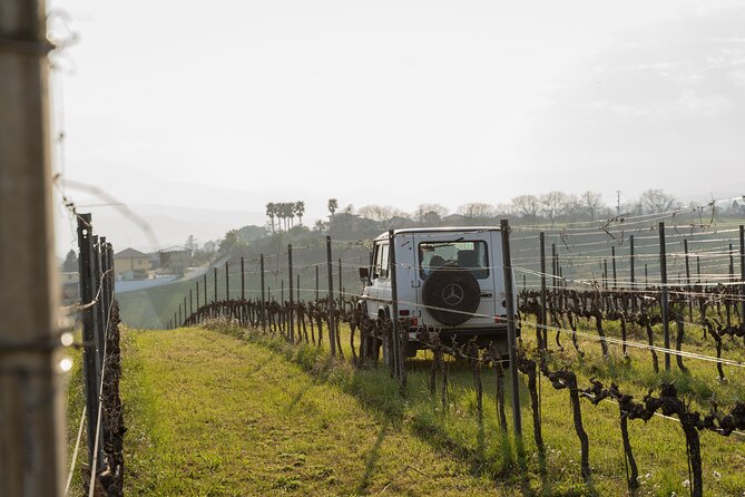 3-Hours of Activities with Safari Grand Tour and Tasting in Vineyards - The Jeep Safari: Touching the Land