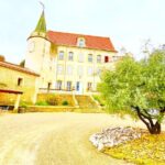 3 hours of Tour in the Wines of Châteauneuf-du-Pape - What Makes This Tour Stand Out?