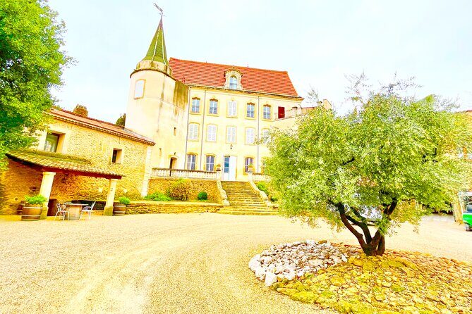 3 hours of Tour in the Wines of Châteauneuf-du-Pape - What Makes This Tour Stand Out?