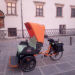 3 hours tour Vienna on RAXI (electric rickshaw) - Who Should Consider This Tour?