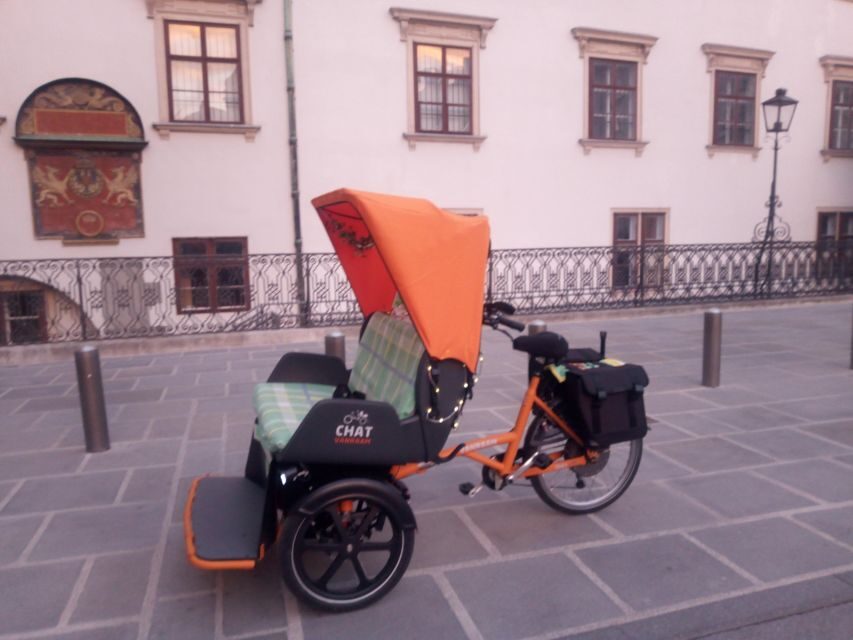 3 hours tour Vienna on RAXI (electric rickshaw) - Who Should Consider This Tour?