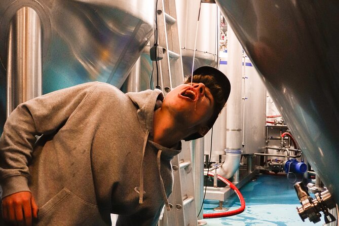 3 Locks Brewing Company Tour and Tasting Experience in Camden - Introduction