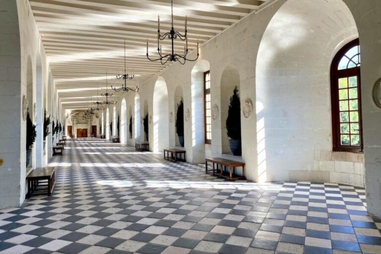 3 Loire Castles Live Guided Small group by minivan Winery - Authentic Experience and Value