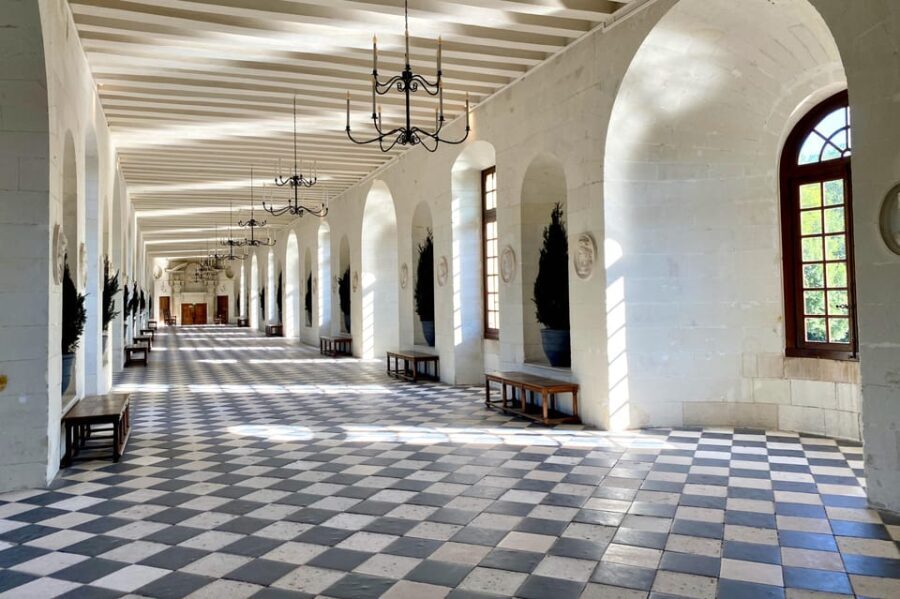 3 Loire Castles Live Guided Small group by minivan Winery - Authentic Experience and Value