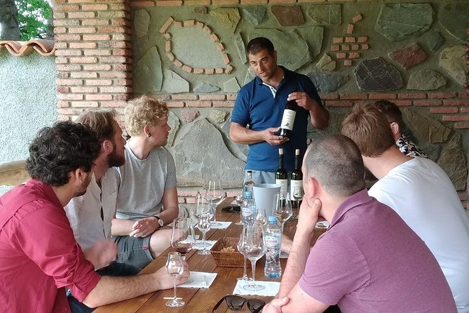 3 Organic Wineries Private Day Trip to Wine Province With Lunch and Tastings - Introduction to the Experience