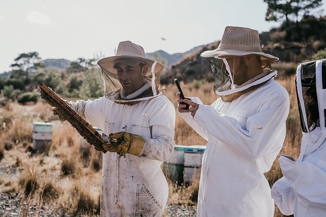 30-Minute Guided Honey Tasting Activity in Melini - Key Points