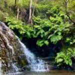30 minutes from Porto: Waterfalls, Hiking and Picnic - Practical Details and What Matters