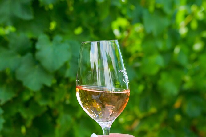 1/2 day, private wine tour, van from Saint Tropez - Is This Tour Worth Its Price?