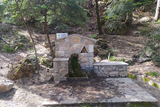 1 Day Parnitha Athens Private Hiking Tour with Hotel Pickup - Authentic Views and Personalization