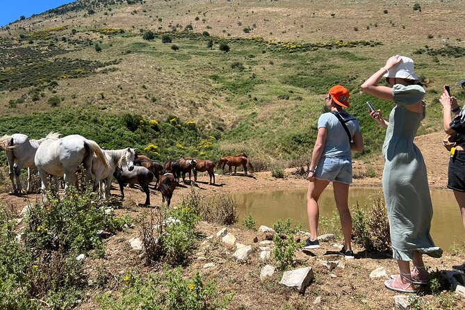 1-Day Tour in Blue Eye, Monastery, Gjirokaster and Lekursi Castle - In The Sum Up