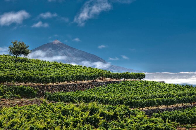 1 Hour and Half Mojo Sauce Workshop With Winery Tour - Authentic Experience and Cultural Insight