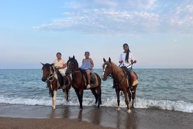 1 Hour Horse Riding in Antalya - What Travelers Say