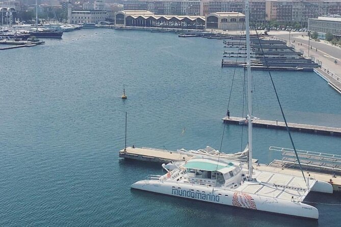 1 Hour Sailing Excursion in Valencia - Is It Worth the Price?