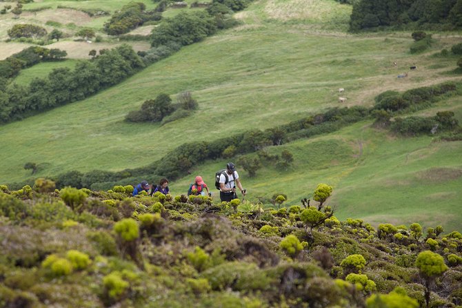 10 Volcanos hiking private tour in Faial - The Price and Its Value